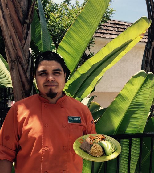 Optimum Health Institute Blog - Praise for New OHI 21-Day Menu